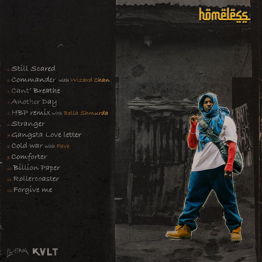 “Homeless” Review: Llona’s Debut Album Is Raw and Reflective - Afrocritik